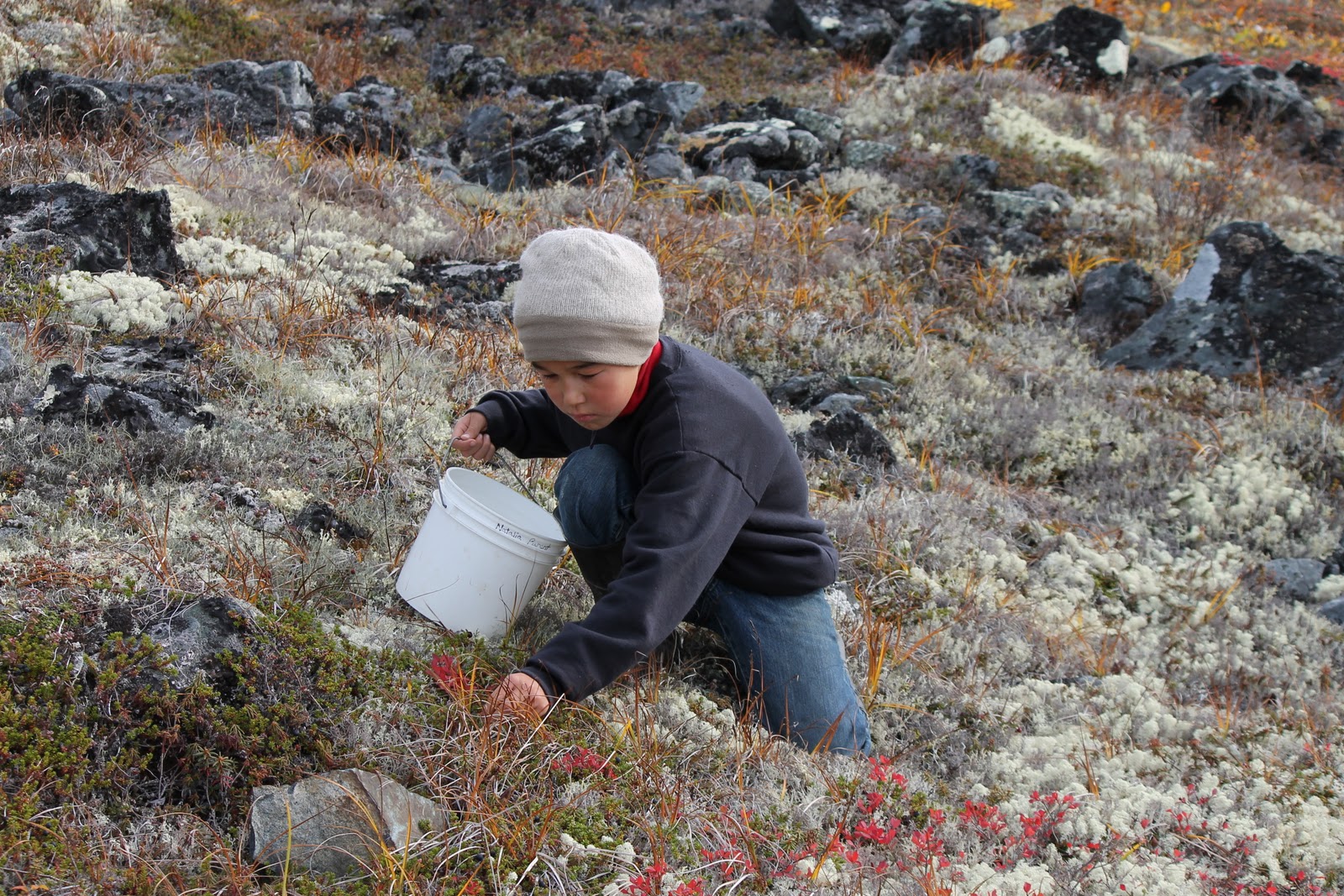 Teaching in Rural Alaska: Berry Picking
