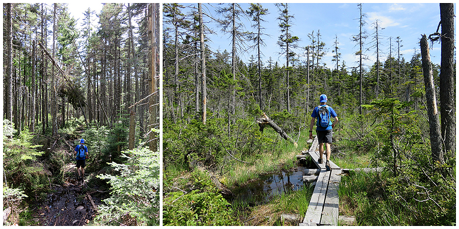 Hiking in the White Mountains: Mahoosuc Range Traverse
