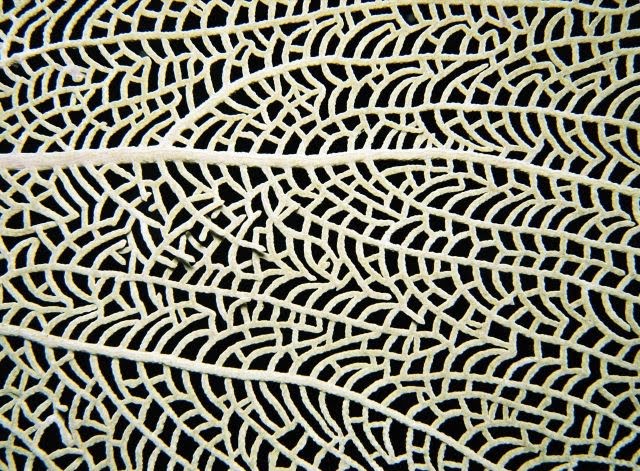 Jalinan Masyarakat Sains Pengurusan Alam Sekitar 2017 2018 Gotong - Riset