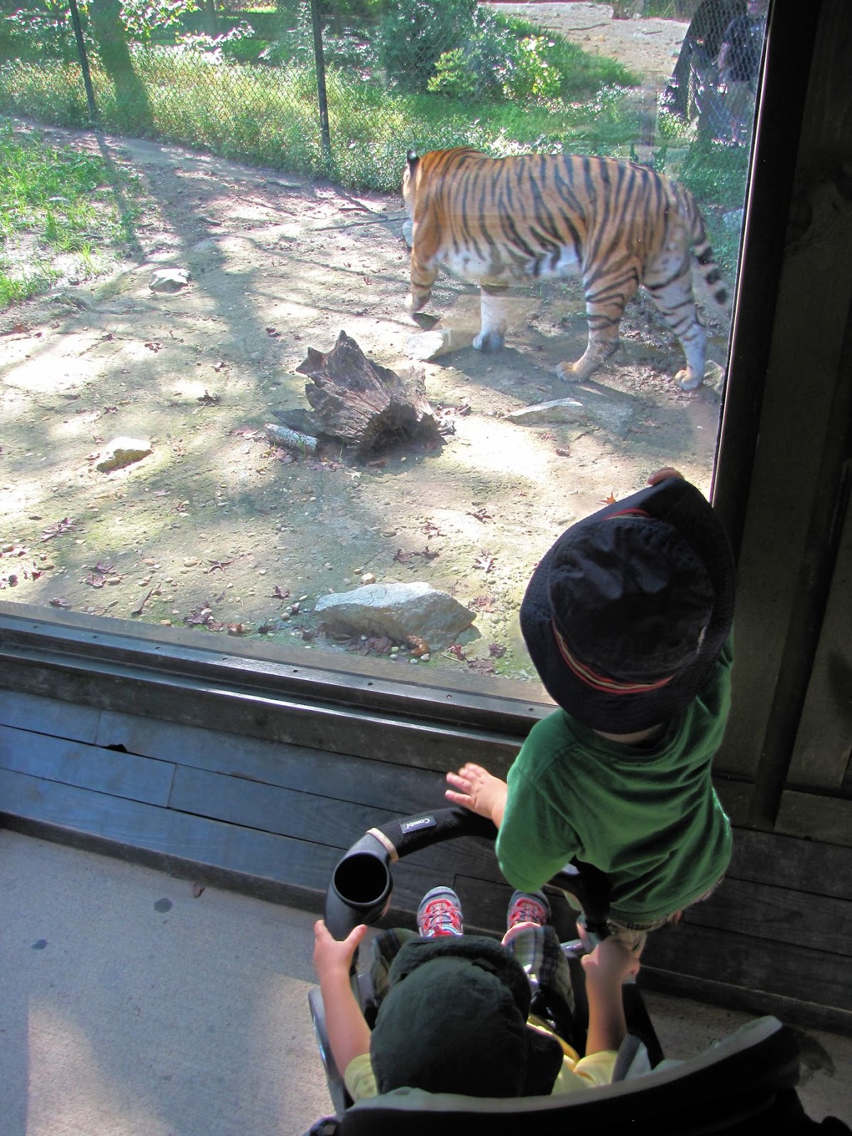 Femme au foyer: Greensboro and the Science Center