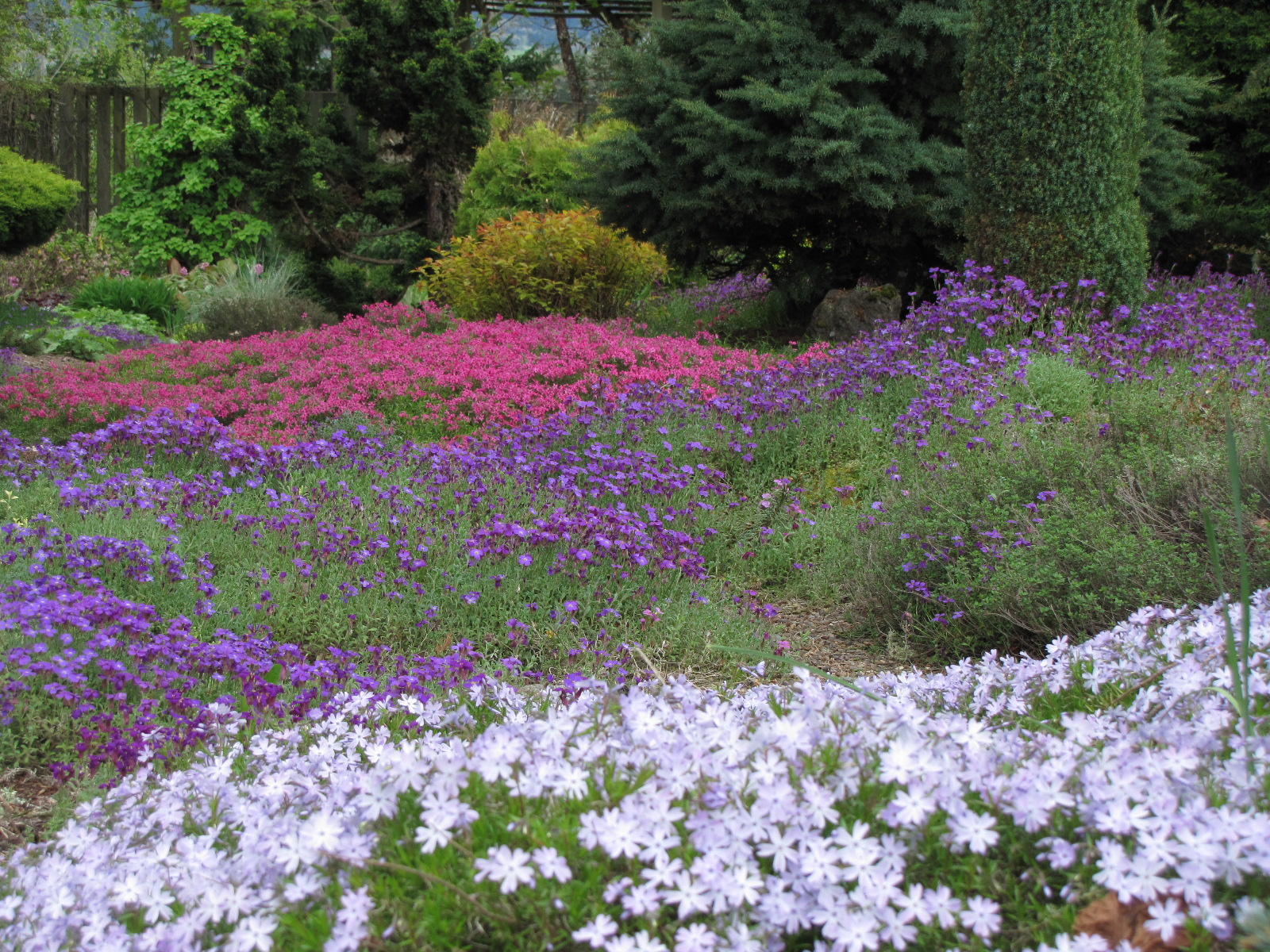 Voice In The Garden: Springtime Garden