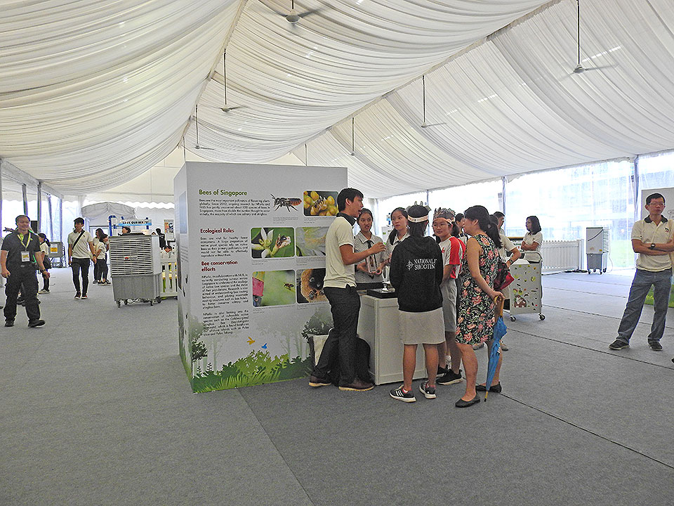 Butterflies of Singapore: Festival of Biodiversity 2018!