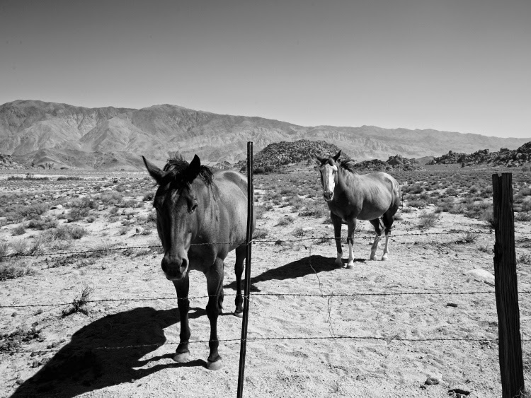 October 2014 ~ Steven Dempsey on Photography