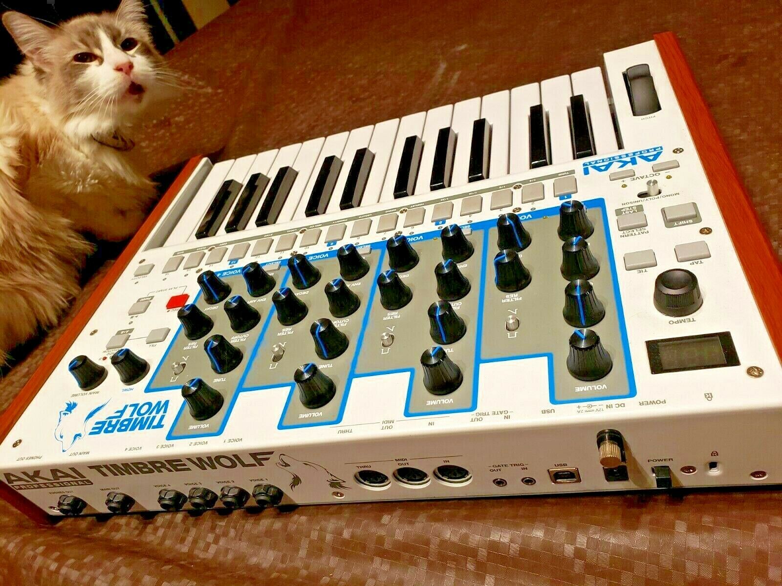 MATRIXSYNTH: AKAI TMBRE WOLF ANALOG SYNTH