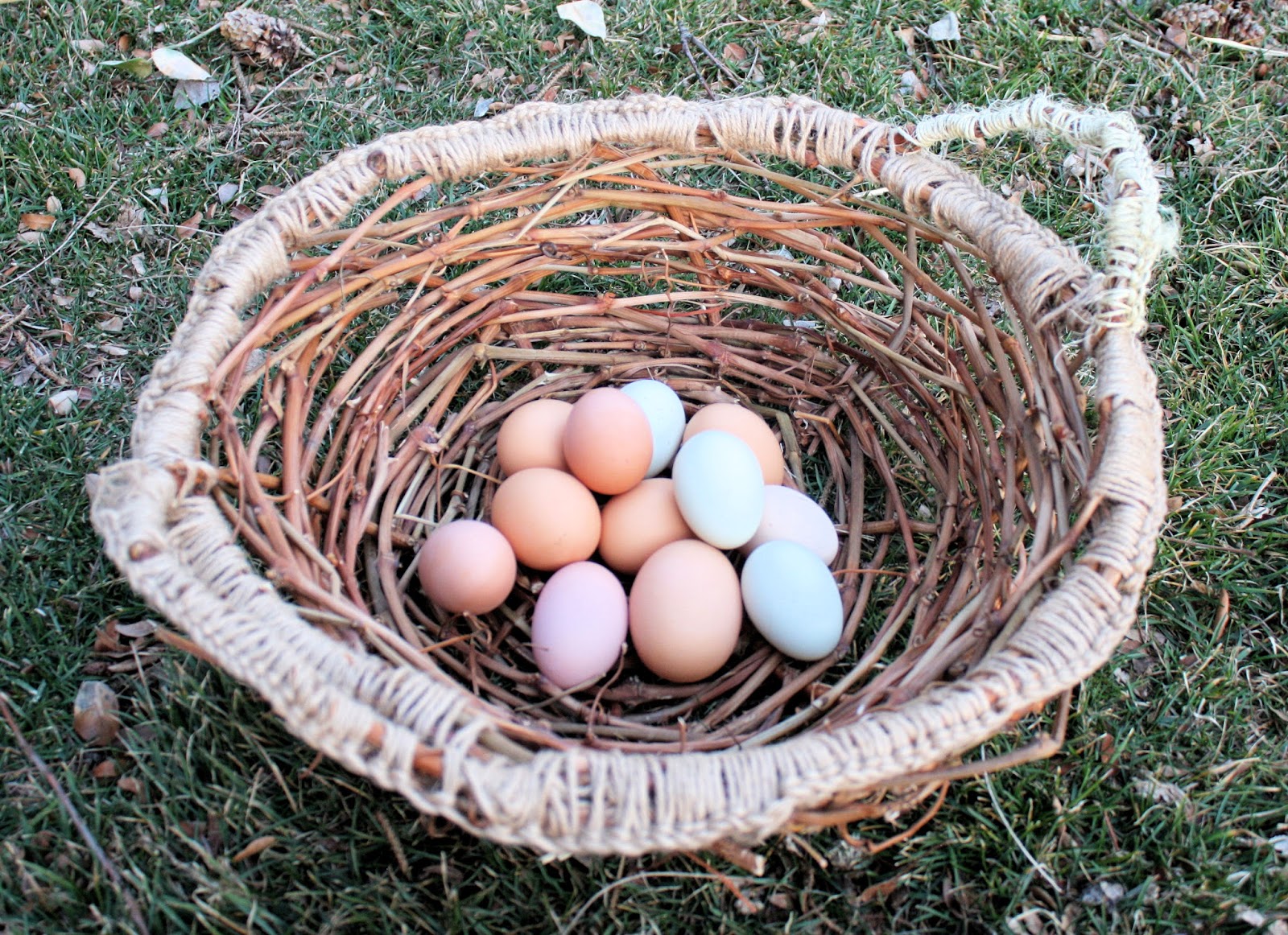 Running With Scissors: Grapevine Basket