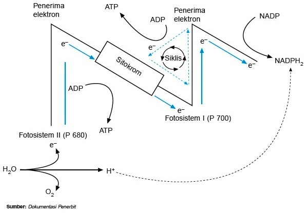 Belajar Matematika Simpel: Pintar Pelajaran Aliran Jalur Elektron ...