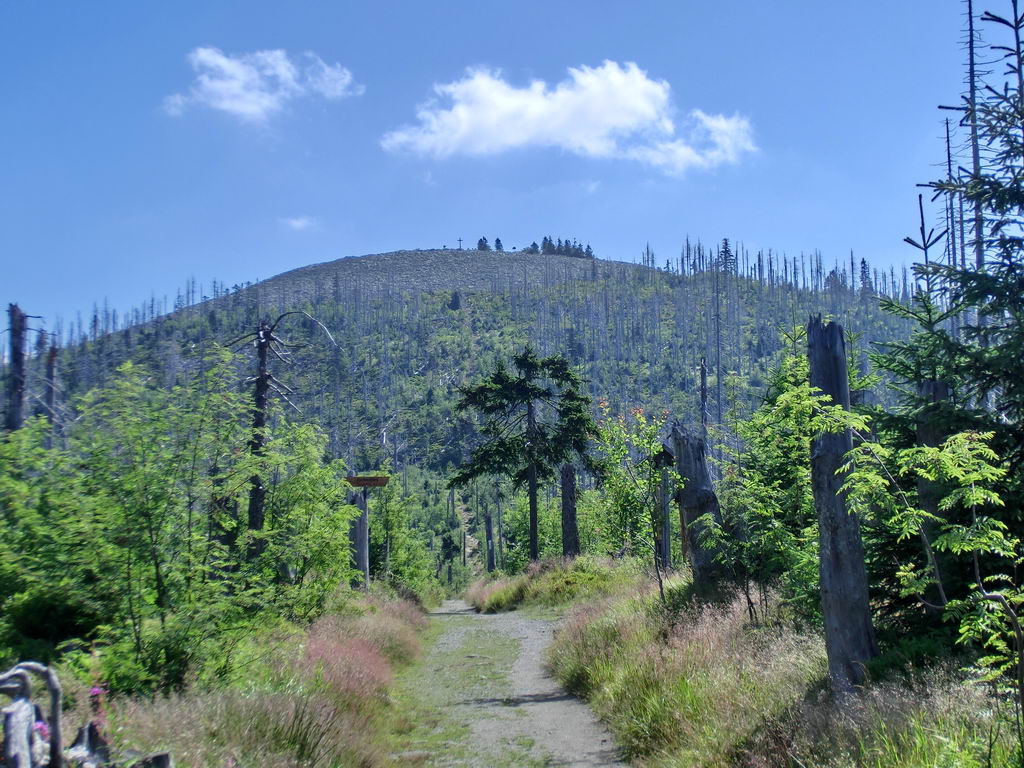 Steilgernots Berge Blog: Lusen (1373m)