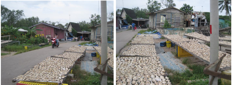 .sustainablesenipeople.: 2013