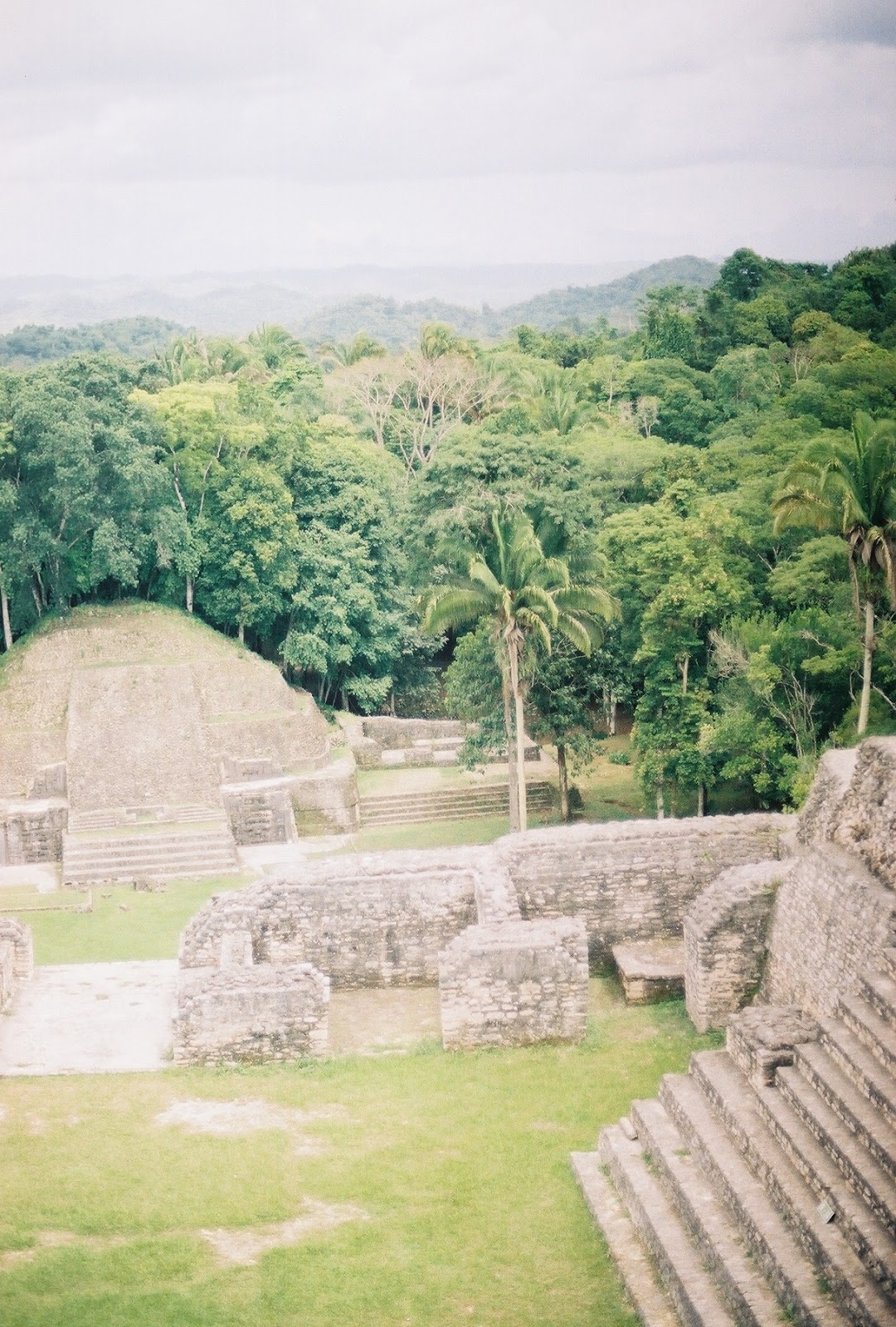 APES: The Lovely City of Caracol