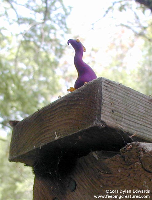 Feeping Creatures:Feep o' the Morning: Purple Vulture and Giant Fuzzy ...