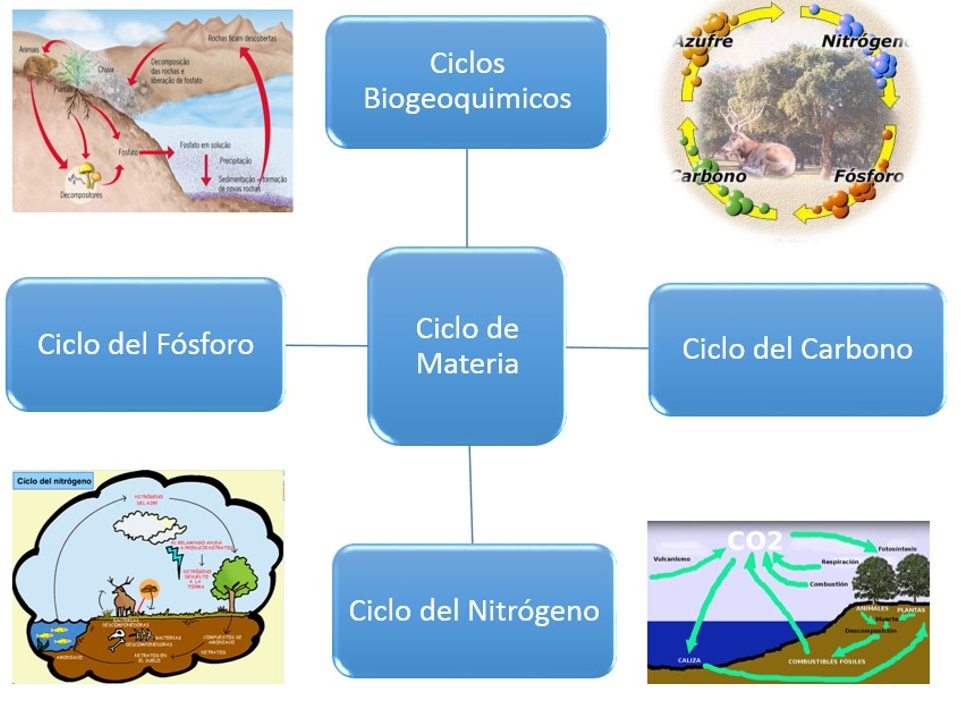 ENZ - Natural Sciences - Docs Estadistic - GRD: Mapa sobre Ciclos ....