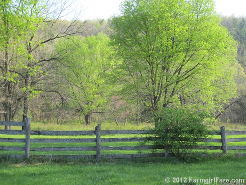 Farmgirl Fare: Tail End of the Week: Get Your Friday Farm Fix #3