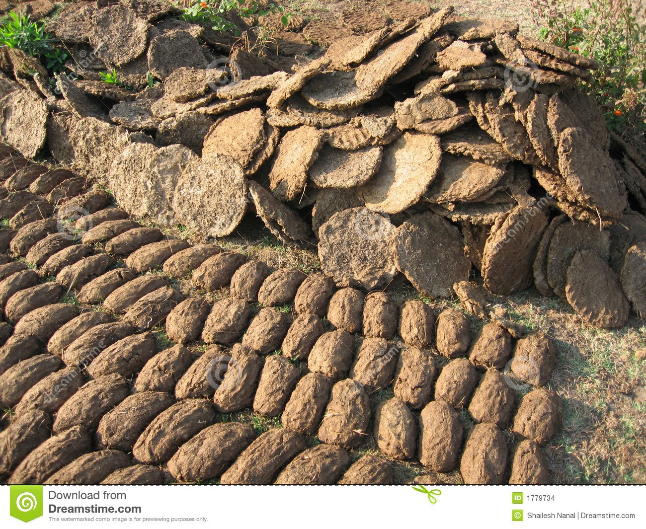 French Vocabulary Illustrated: bouse