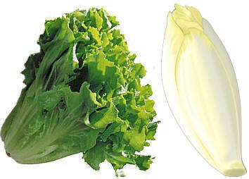 Intendencia con Belén: Menú Mes de Agosto 2016