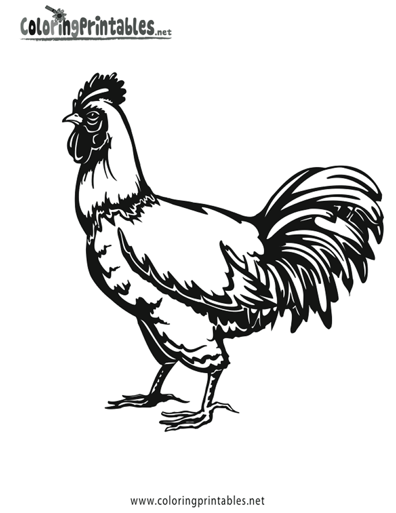 Vizatime Te Bukura Per Femije Sketch Coloring Page