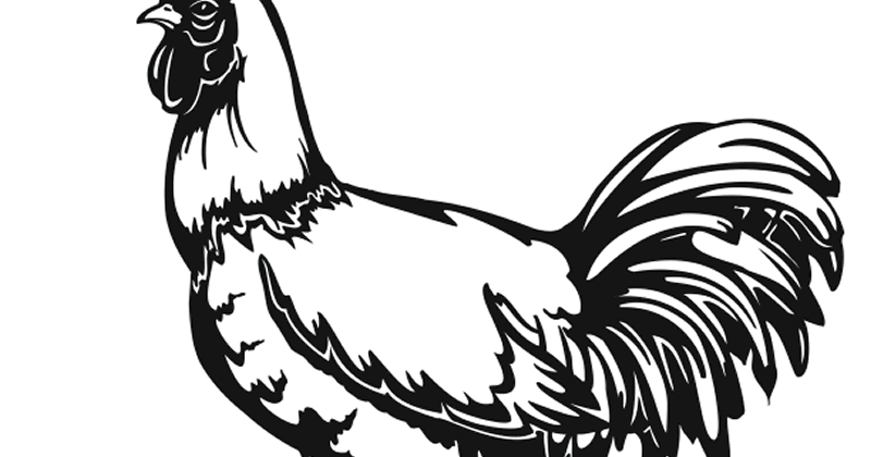 Për vogëlushët, për fëmijët tanë: Gjeli, qeni dhe dhelpra