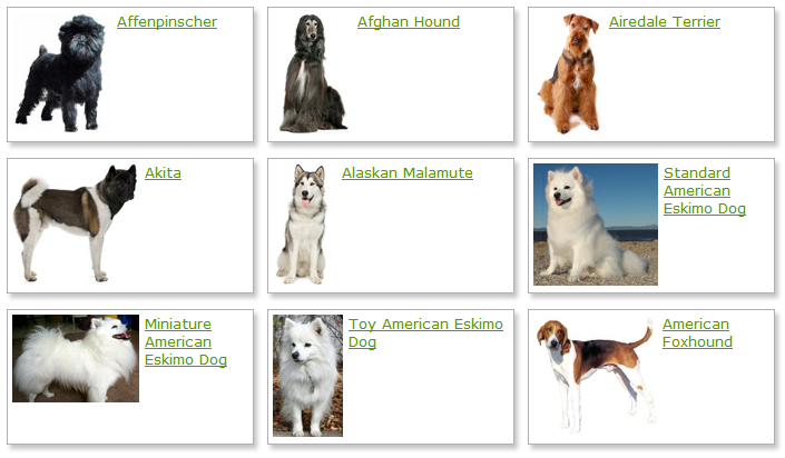 Dog Breeds List With Picture | Dog Breeds Alphabetical - Dogs Breeds Guide