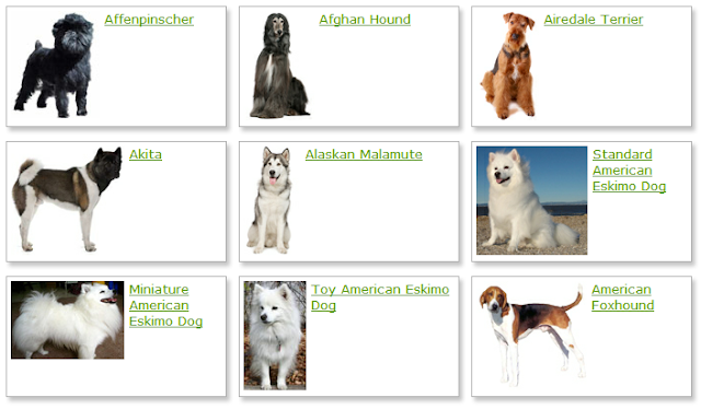 Dog Breeds List With Picture | Dog Breeds Alphabetical - Dogs Breeds Guide