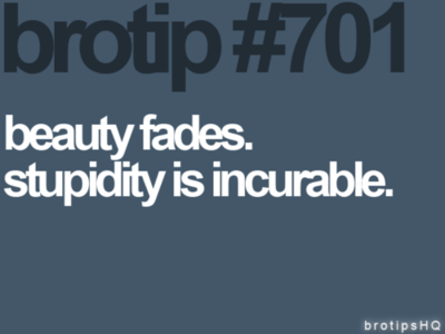 epiphany; the sudden realization or comprehension of the essence or ...