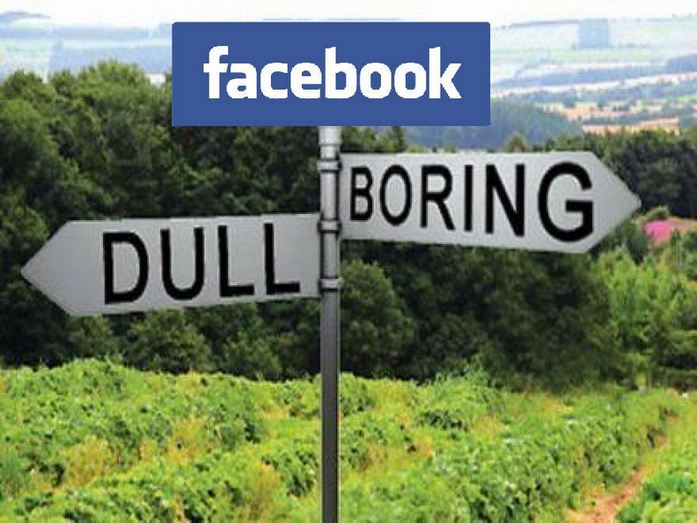 Blogging By Robert Vegas Bob Swetz: FACEBOOK becoming (Dull & Boring ...