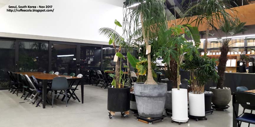 travel tales: South Korea: Seoul: Queen Mama Market