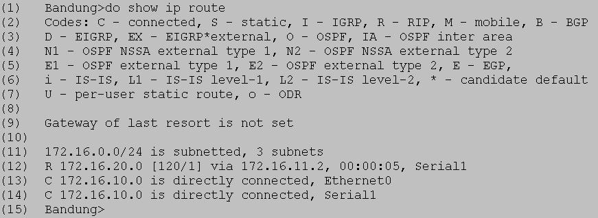 Mengerti IP Routing dan Tabel IP Routing ~ For-Indo45
