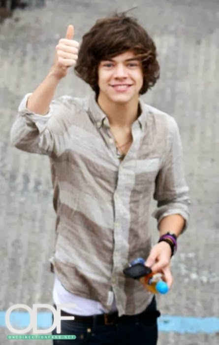 Celeb Saggers: Harry Styles Arriving for Concert