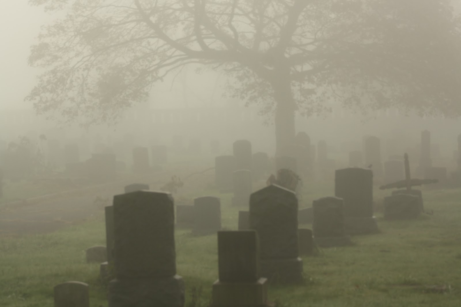 Sully's Photo: Morning fog in a graveyard in Jersey City
