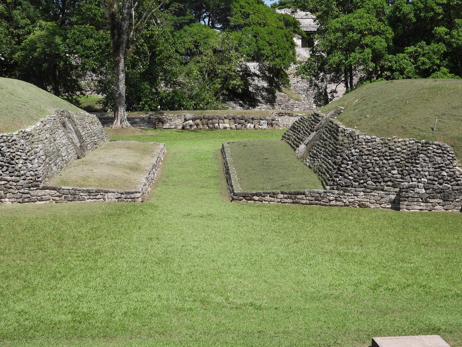 Bird & Travel Photos, Birding Sites, Bird Information: BALL COURT ...