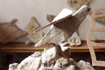 La imagen del día: Zoolitos y otros seres fantásticos