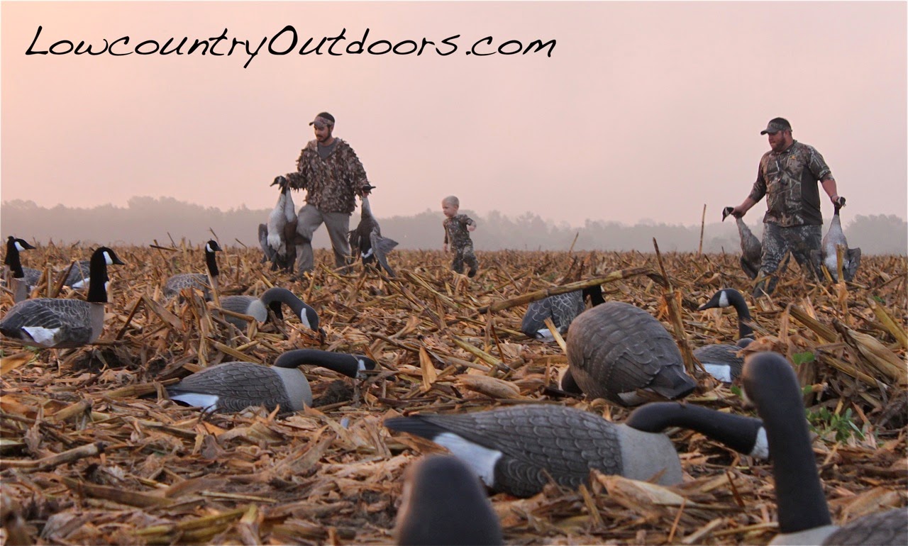 Lowcountry outdoors: Scouting is Key to September Canada Goose Success