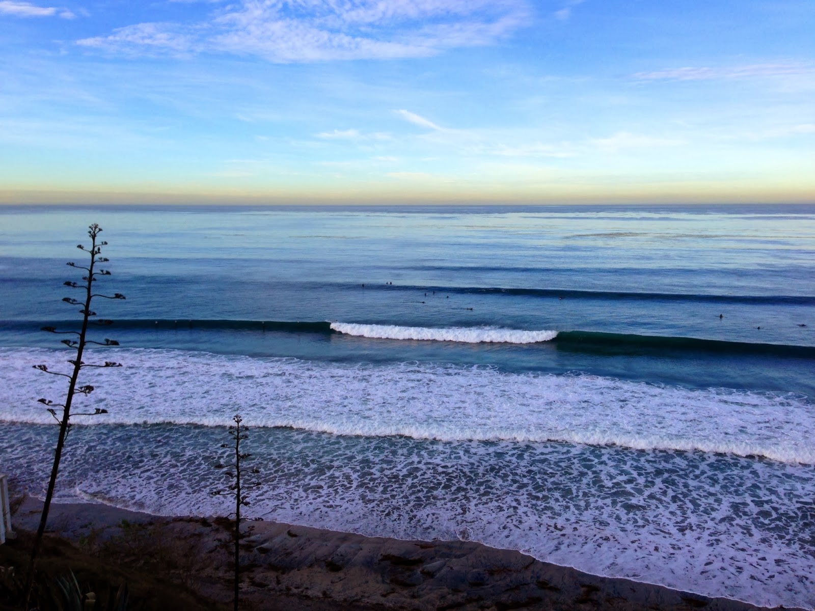 North County Surf: Surf Check