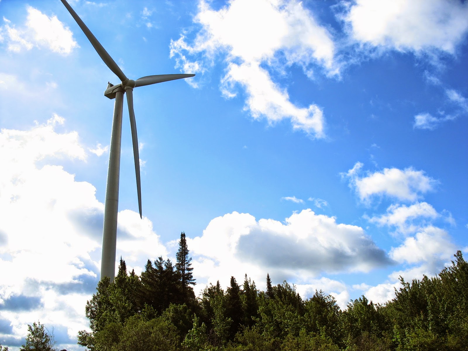 Interesting energy facts: Wind energy – worth the effort or not?