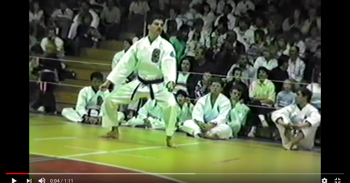 Isshin - Concentration the Art: Another possible Chinto Kata opening ...