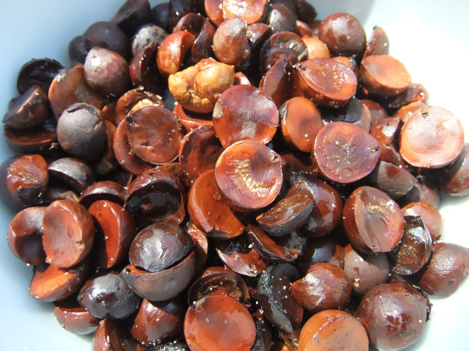 Naturalist4U: Adapt2Now: Roasted Bay Nuts