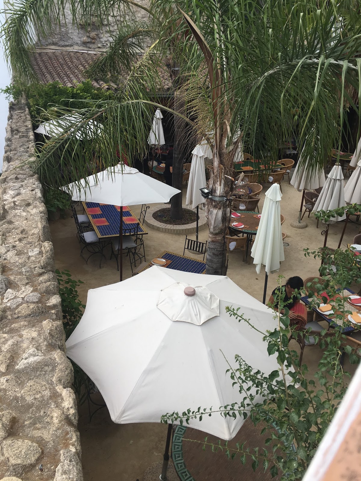 El Jardín Del Califa De Vejer De La Frontera (Cádiz)