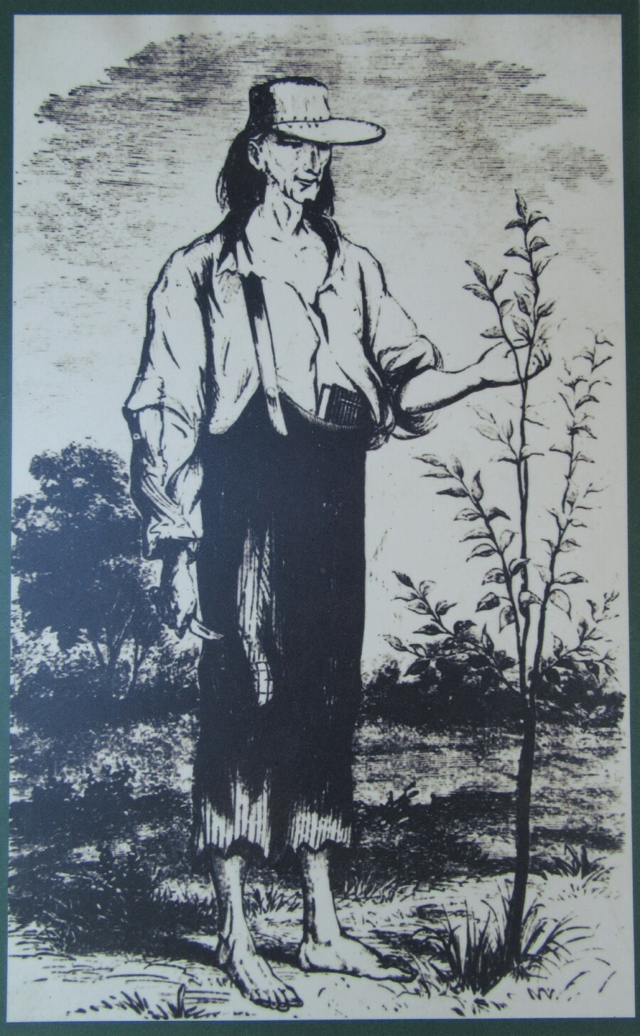 Bird's Yellow House: John Chapman aka "Johnny Appleseed"