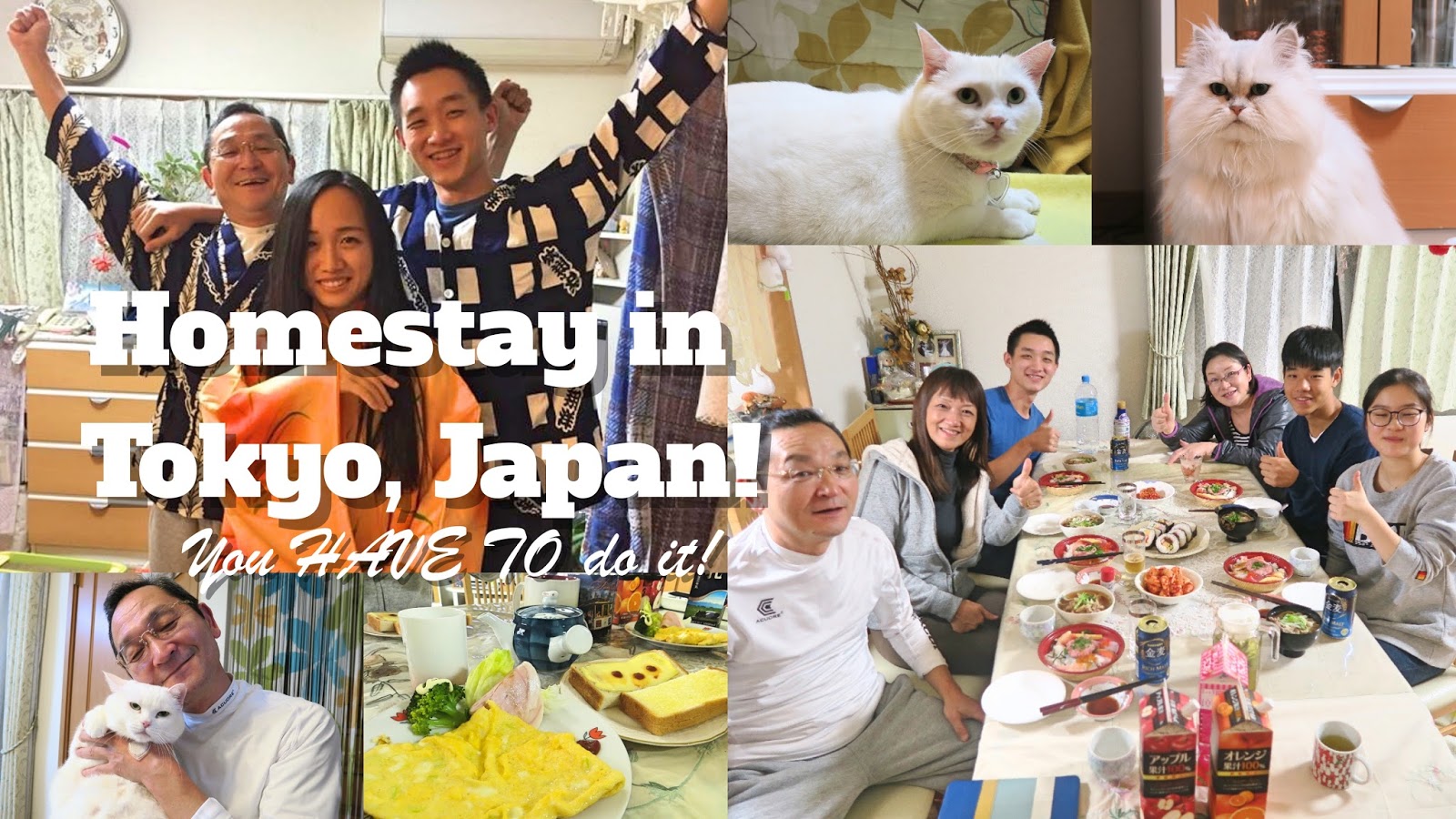 Miss HappyFeet: Ditch the Hotels, Try Homestay in Japan!