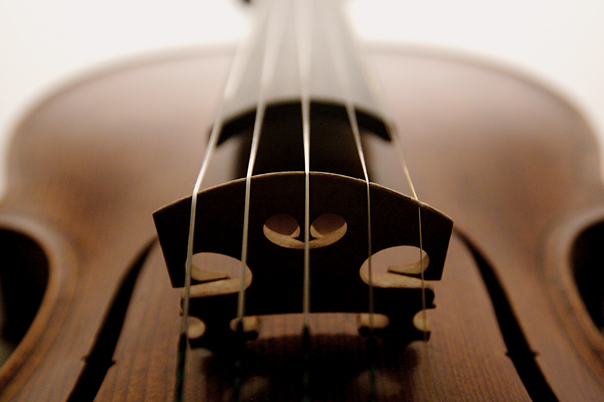 The Great Musician: The Violin