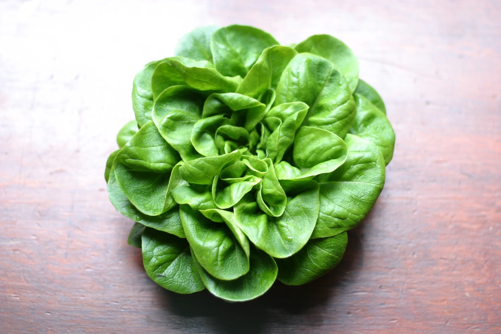 Thrift at Home: Wonderful Lettuce as a Wonderful Side Dish