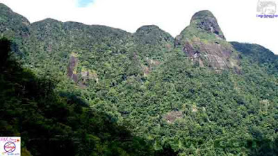 Lanka Pictures Page: Corbet’s Gap at Knuckles Range