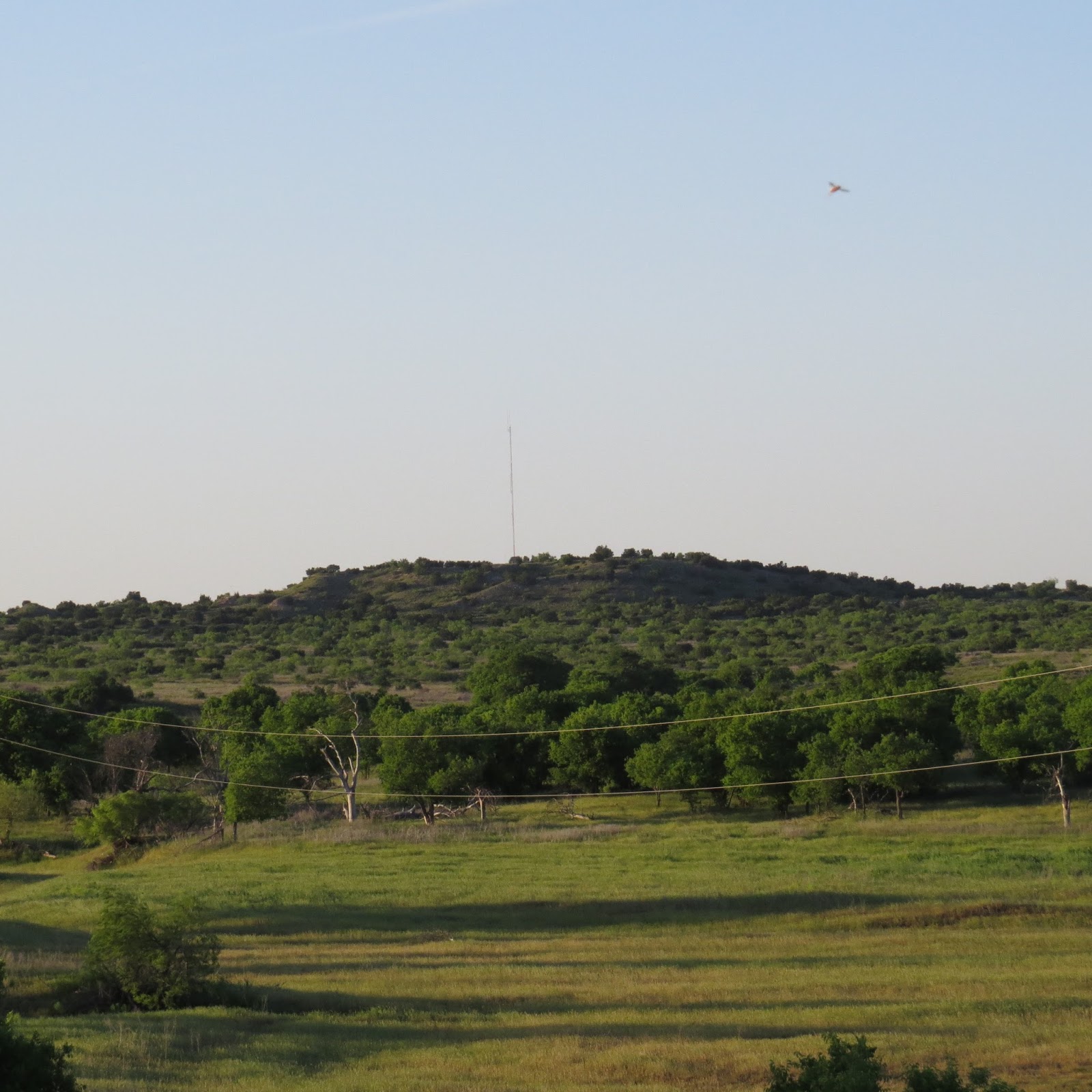 Navasota Ranch: Triangle Ranch, Cottle County Texas