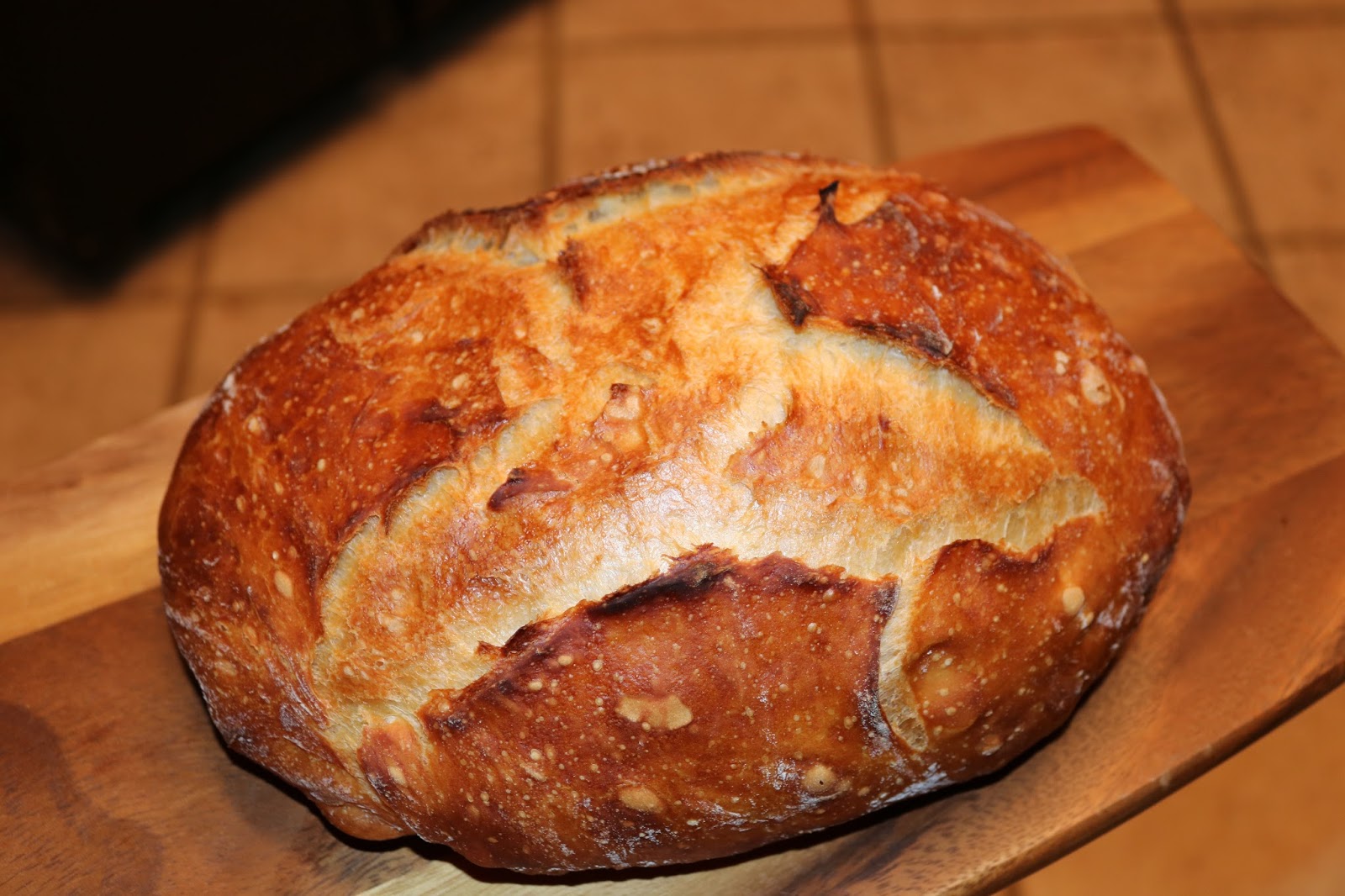 Michelle's Tasty Creations: Artisan Bread