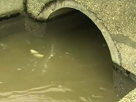 WasteWater System: Effluent Standards Quality & Discharge Limits