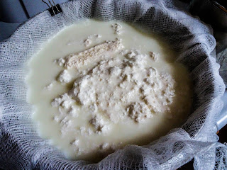 The LaRUS kitchen: Homemade Cottage Cheese in Pressure Cooker
