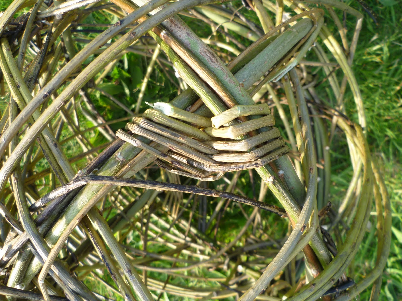 Notes From The Studio: Willow The Wisp