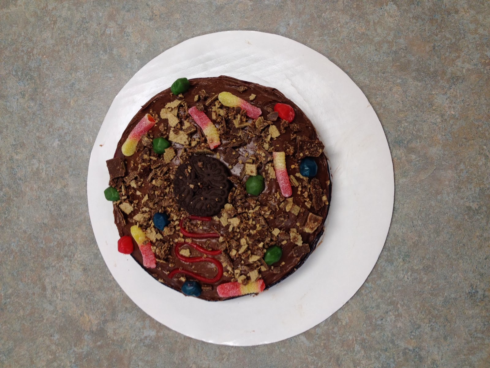 Miss L's Whole Brain Teaching: Edible Cell Models