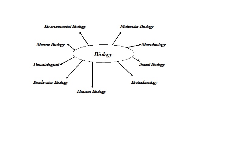 The Learning Magazine: Biology And Its Major Fields Part-2