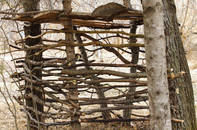 Tree Fort