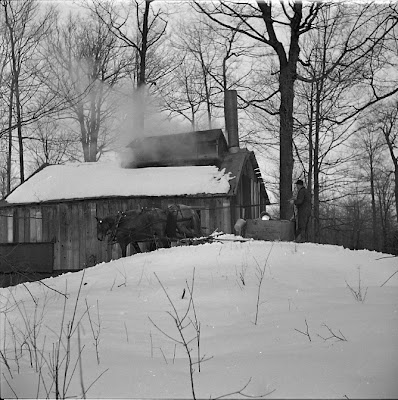 The Farmers' Museum: Maple Sugaring During a Full Sap Moon